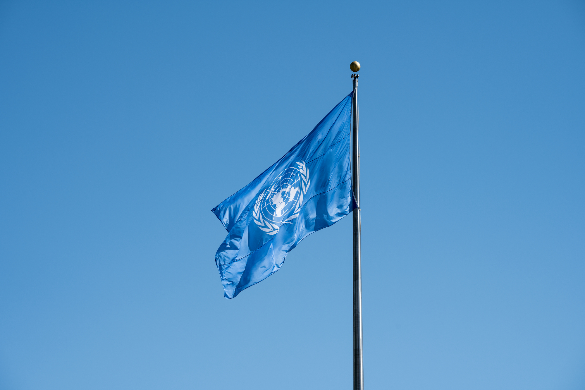 Sverige i FN - Regeringen.se